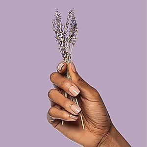 Poo-Pourri Before-You-Go Toilet Spray, Lavender Vanilla, 1.4 Fl Oz - Lavender, Vanilla and Citrus