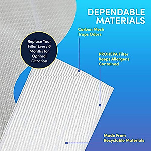 Veva 1 Pack of replacement filter compatible with Winix Filter H 116130 for Model 5500-2 Air Purifier - 1 HEPA, 1 Honeycomb Carbon