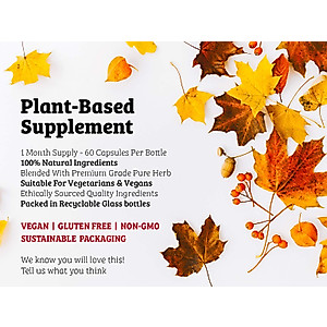 DR WAKDE'S Rasna Capsules (Pluchea lanceolata, 60 Veg Caps, Plant-Based Supplement, Ayurvedic Herb, All Natural, Vegan)