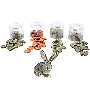 Bunny Chew Toys, LE-SEKAI Natural Rabbit Chew Toys Nutritious Small Animal Molar Treat Biscuits - Carrot Biscuits, Timothy Biscuits, Alfalfa Biscuits, and Rye Biscuits, 120g Each for Rabbit/Hamster