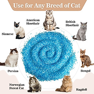 Sukh 14.8 OZ Crystal Cat Litter - Cat Litter Crystals Premium Blue White Clear Dust-Free Low Tracking,Odor Control Litter Crystals Silica Gel Color Particles Water Absorption Cats Litter Pet Supplies