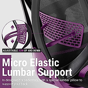 Aodrova Office Chair Gaming Chair with Extra Large Bionic Headrest, Breathable Mesh Office Chair with Ergonomic Lumbar Support and Adjustable 3D Armrests (Purple)
