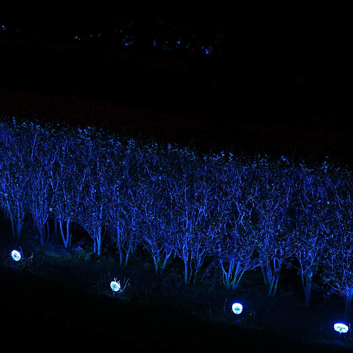 LinkupHome Smart LED Garden Spotlights, Work with Alexa, Google Assistant, Tuya Smart App, WiFi System (No Hub), Outdoor IP65 Waterproof, 8.8m, 9LEDs, 5W Dimmable 16 Million Colors