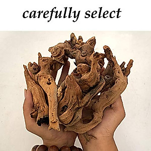 Hamiledyi Aquarium Driftwood Natural Coral Wood Driftwood Assorted Branches Reptile Fish Tank Aquarium Decoration(5 Pack)