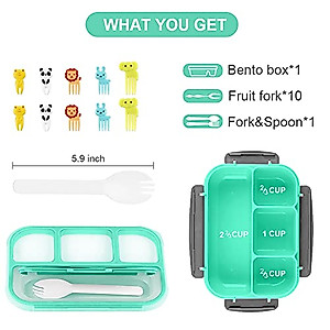 BentoMoment Bento Lunch Box, 4 Compartments Lunch Box Containers for Adults, 5 Cups Bento Box with Utensils& Fruit Fork, Cute Snack Lunch Box, Leakproof Microwave Safe Bento Boxes, Green