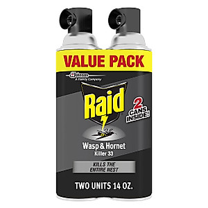 Raid Wasp & Hornet Killer Spray, Kills the entire nest, Kills Paper Wasps, Yellow Jackets, Mud Daubers and more, 14 oz (Pack of 2)