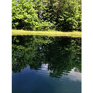 Sanco Industries Pond Dye - Black Individual Water Soluble Packet - 1 Pack Treats 1/4 Acre