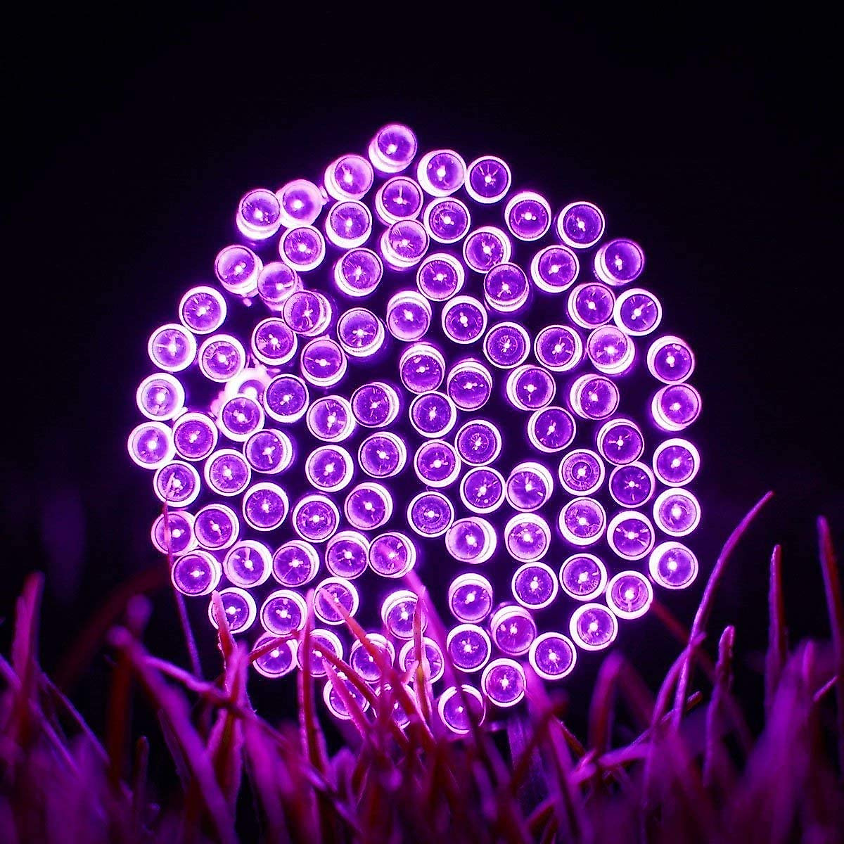 REICUA, Solar Garden Lights, Outdoor String Lights, Waterproof 72ft 22m 200 LED 8 Twinkling Modes, Decorative Lighting Fairy Lights for Home, Gazebo, Patio, Lawn, Wedding Ornament (Purple)