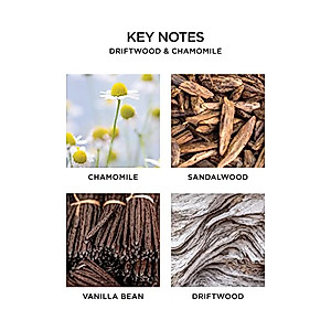 NEST Fragrances Driftwood & Chamomile Scented Classic, Long-Lasting Candle for Home with Rattan Sleeve, 8 Oz