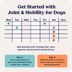Summit Animal Health Joint and Mobility Supplement for Large Dogs (Previously Lift), All Natural Liquid Chrondroitin with Liposomal Delivery for Arthritis, Hip & Joint Support Vitamin, (Dogs 75+lbs)