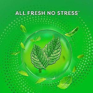 Crest Scope All Day Mouthwash, Alcohol Free, Clean Mint, Mild Flavor, 1L (33.8 fl oz)