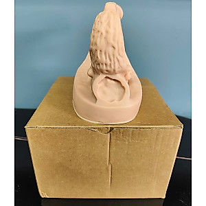 SIULAS Male Reproductive Organ Model - Anatomical Training Manikin - PVC Material, Light Brown, For Medical Professionals, Students, and Educators