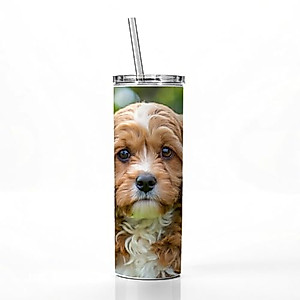 Cavapoo Dog Puppy Photo Skinny Tumbler 20oz with Straw Insulated Water Bottle Gift