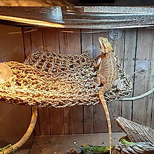 MUYG Reptile Hammock,Large Lizard Lounger,Bearded Dragon Tank Accessories Natural Seagrass Hammocks Hanging Flexible Climbing Vines Decoration for Gecko Snakes Chameleon(4 PCS)