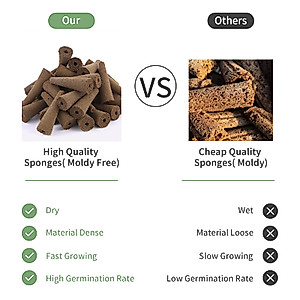 TISOHUGO 50 Pack Grow Sponges, Seed Starter Pods Growth Sponges Compatible with AeroGarden, PH-Balanced Refill Pods Gardening Accessories for Hydroponic Indoor Growing System