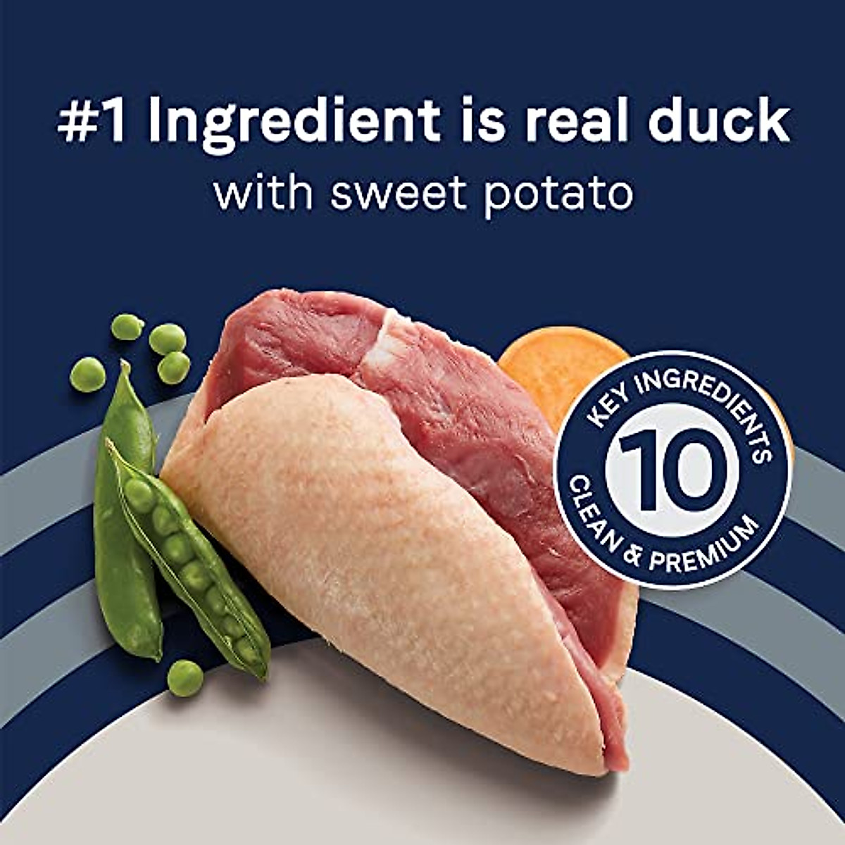 Canidae Pure Real Duck & Sweet Potato Recipe Adult Dry Dog 24 LB