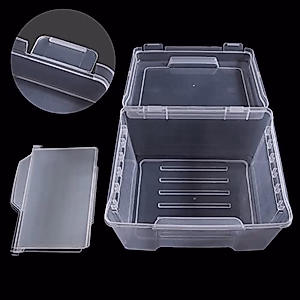 Greeting Card Organizer with Dividers