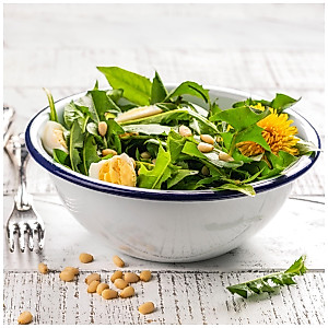 Seed Needs, Dandelion Seeds - 250 Heirloom Seeds for Planting Taraxacum officinale - Non-GMO & Untreated - Great for Tortoises, Rabbits & Bearded Dragons (2 Packs)