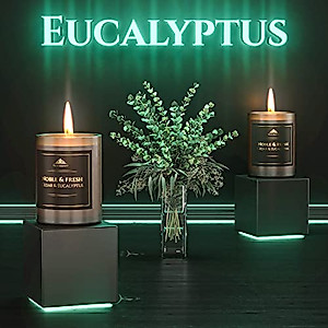 Your Majesty Cedarwood and Eucalyptus Scented Candle for Home [35 Hours Burning Time] Natural Soy Wax Candle with Essential Oils, Clean Burn Aromatherapy Candle, 5.3 Oz