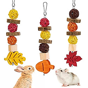 Xylolfsty Fall Themed Chew Toys for Rabbit Dwarf Hamster Bunny Guinea Pig Chinchilla Gerbil Pet Rat Small Animals Cage Hanging Teeth Grinding Accessories Autumn Thanksgiving Gifts 3PCS