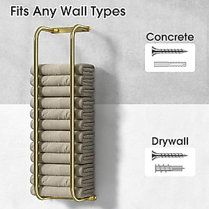 Danpoo Towel Racks for Bathroom Wall Mounted, Towel Storage Organizer, Stainless Steel Bath Towels Holder for Rolled Towels, with 2 Hooks, Brushed Gold