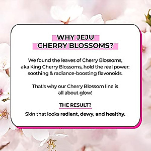 innisfree Cherry Blossom Dewy Glow Jelly Cream Face Moisturizer , 1.69 Fl Oz (Pack of 1)