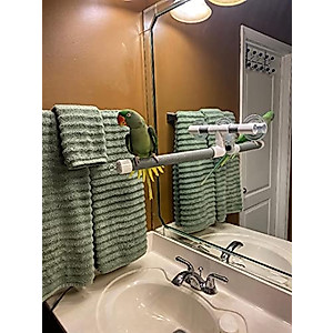 Pollys Deluxe Window and Shower Bird Perch, Large,Grey