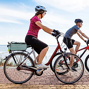 RAYMACE Bike Trunk Cooler Bag With Tail Light,Bicycle Rear Rack Bag Insulated Storage 8L,Pannier Bag (Viridian Green)