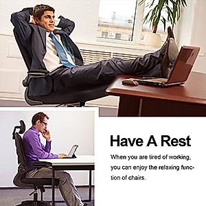 ComHoma Office Chair Ergonomic High Back Executive Adjustable Mesh Computer Chair with Flip-Up Armrests Adjustable Headrest Black,