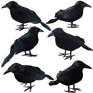 Realistic Crow, 6 PCS Halloween Black Feathered Crow Decoys Ravens Outdoor Halloween Decorations Props Décor, Standing Flying Birds for Tree Haunted House Graveyard Tombstone Display