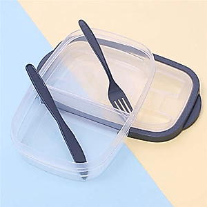 GAGALU Metal Lunch Box Plastic Bento Box Meal Storage Food Prep Lunch Box 2 Compartment Reusable Microwavable Containers Home Lunchbox