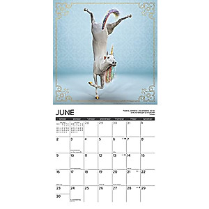 Willow Creek Press Unicorn Yoga Monthly 2024 Wall Calendar (12" x 12")