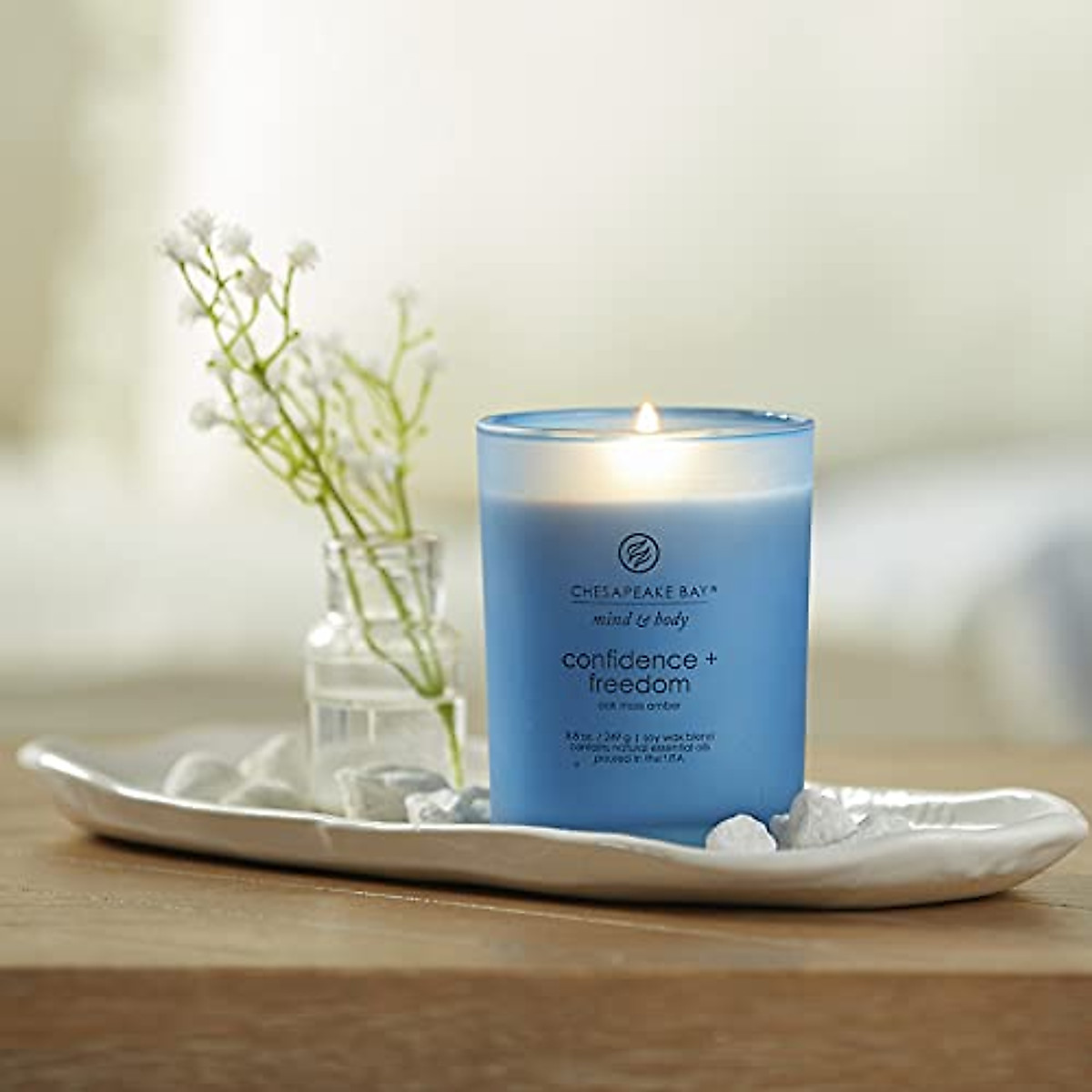 Yankee Candle Chesapeake Bay Candle, Medium Jar Candles | Confidence + Freedom (Oak Moss Amber), 2 Count, White