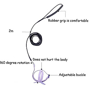 Pet Bird Harness and Leash Rope Training Outdoor Flying Training Pet Rope Bird Strap Bird Rope for Budgerigar Mynah Parrot