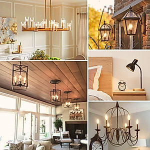 Wax Warmer Bulb - Salt Lamp Bulb,15 Watt Light Bulb for Scentsy Plug-in Nightlight Wax Warmer,Candle Warmer & Himalayan Salt Lamp,WarmWhite - Dimmable,18 Packs