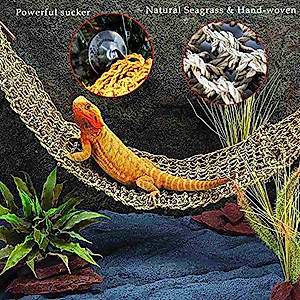 kathson Bearded Dragon Hammock Reptile Hideout Wooden Bridge Jungle Climber Vines Flexible Reptile Leaves with Suction Cups Reptile Habitat Decor for Chameleon, Lizards, Gecko, Snakes Climbing Hiding
