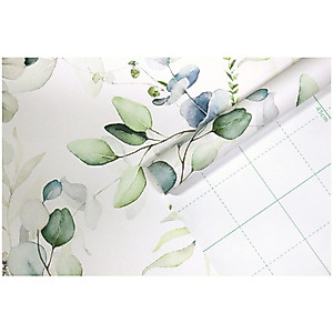 HAOKHOME Peel and Stick Wallpaper Boho Green/White Eucalyptus Leaf Floral Wall Mural Home Nursery Decor Renter Friendly Wallpaper 17.7in x 78.7in