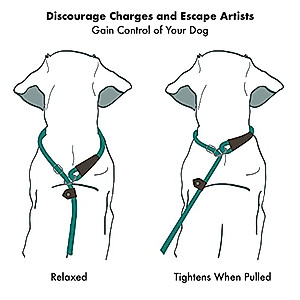 Friends Forever Extremely Durable Dog Rope Leash, Premium Quality Training Slip Lead, Reflective, Thick Heavy Duty, Sturdy, No Pull, Comfortable For The Strong Large Medium Small Pets 6 feet, Blue