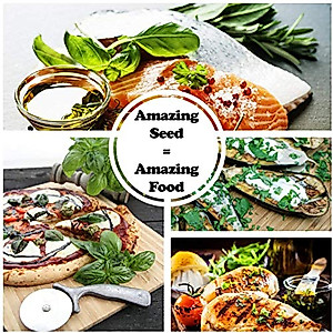 Culinary Herb Garden Starter Kit - Indoor Herb Garden Kit Complete w/ 10 Varieties of Non-GMO Heirloom Herb Seeds with Pellets and Greenhouse, Includes 64 Page Herb Growing Guide