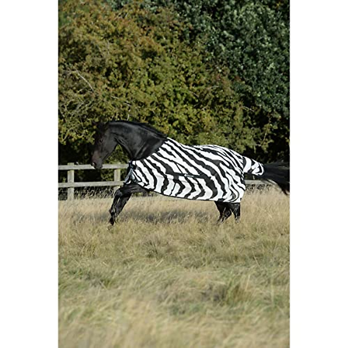 Bucas - Buzz Off Zebra + Neck Fly Sheet
