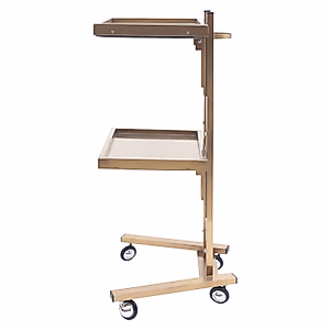 Xuthusman 2-Tier Foldable Tray Trolley Salon 4-Wheel Rolling Cart Utility Storage Shelves Holder with Service Tray Stainless Steel (Gold)