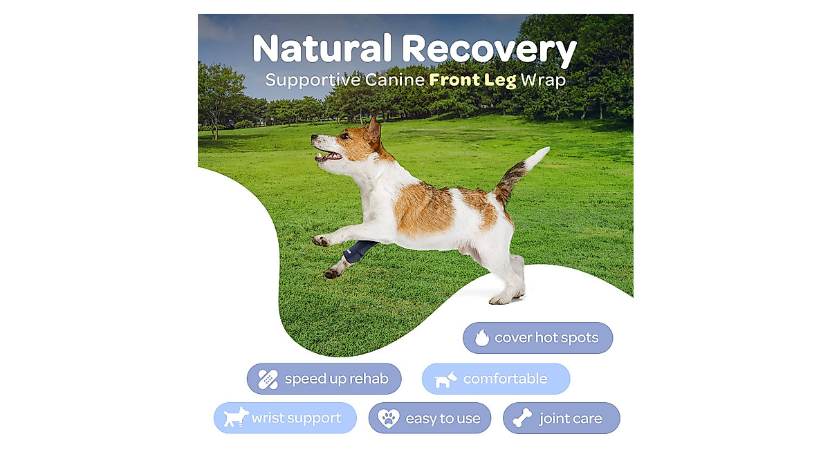Labra Dog Compression Brace - Support for Active Dogs