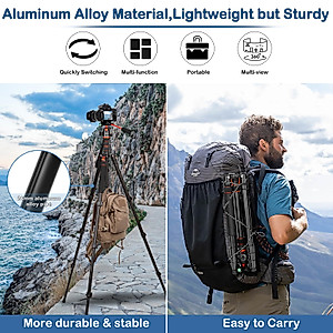 2 in1 Lightweight Video Camera Tripods • 68" Tripod for Camera and Camcorder • 360° Ball Head Tripod with Removable Handle • Extra 1/4" QR Plate and Phone Holder • Compatible with Canon Nikon Sony