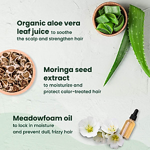 Herbatint Normalizing Shampoo for Color-Treated, Normal Hair - Aloe Vera to Rebalance, Strengthen, & Add Shine - No Parabens, Sulfates, Gluten - 8.79 fl oz.