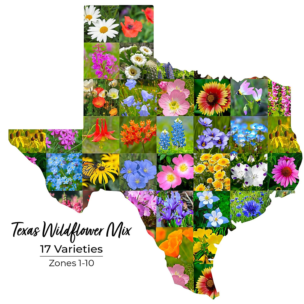 Created By Nature Texas Wildflower Seed Mix, Covers 325 Sq Ft, 17 Flower Varieties, Over 60,000 Seeds