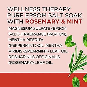 Dr Teal's Pure Epsom Magnesium Salt Soak, Wellness Therapy with Rosemary & Mint, 3 lbs (Pack of 4)