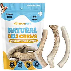hotspot pets Small Premium Deer Antler for Dogs (3 Pack) - 4-8 Inch Long Lasting Antler Dog Chews Naturally Shed Deer Antlers Bone for Small & Medium Breed Aggressive Chewers - Sourced in USA
