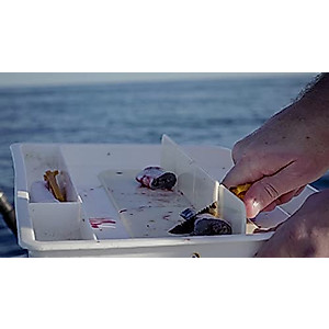 Angler's Choice BAITCUTTER Sea Time Bait Cutter