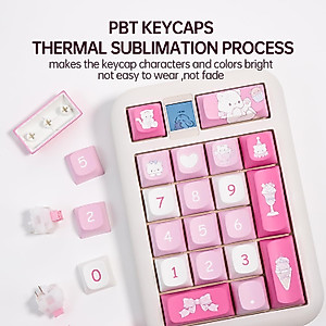 CoolKiller Rococo Hot Swappable Mechanical Numeric Keypad Num Pad for Laptop, PC, Desktop, Notebook