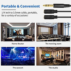 Poyiccot 1/4 to 3.5mm Adapter, 3.5mm to 1/4 Headphone Adapter, 6.35mm 1/4 inch TRS Stereo Male to 2 Dual 3.5mm (Mini) 1/8 inch Stereo Female Y Splitter Cable 20cm/8inch (635M-235FM)